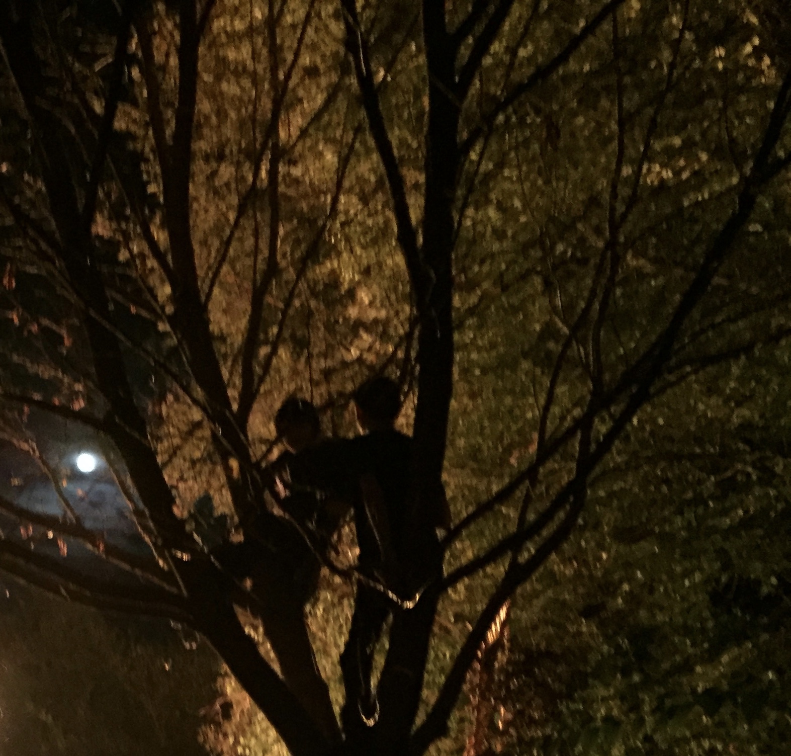 Toby Chown – imaginal doorway